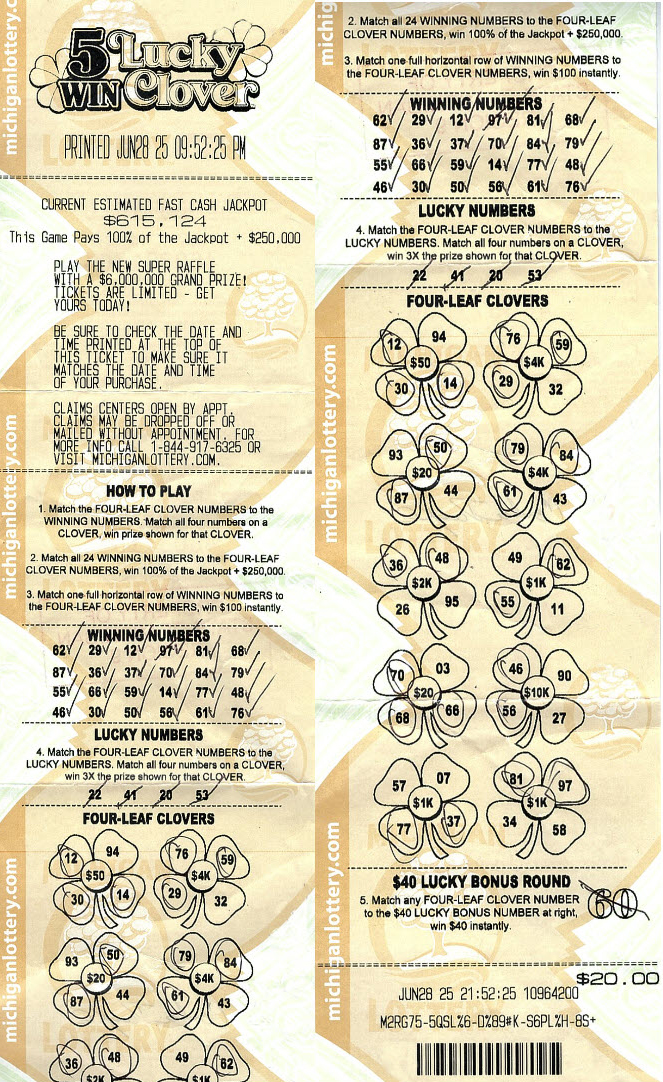 Tuscola County Woman Wins $865,124 5 Win Lucky Clover Fast Cash ...